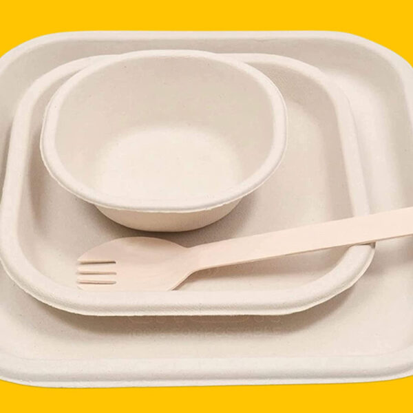 Biodegradable Plates Archives - Goose Foods